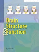 Brain Structure and Function 5/2024 | springermedicine.com