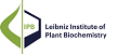 Leibniz Institute of Plant Biochemistry