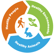 One Health Outlook | Home