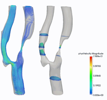 BioMedical Engineering OnLine | Home page