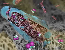 Cancer Nanotechnology | Home page