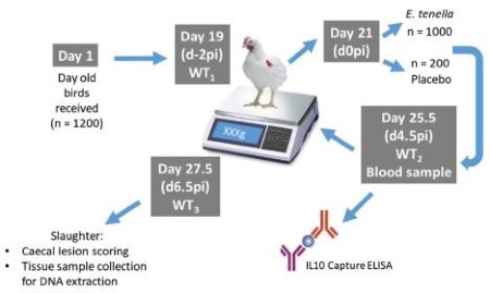 Genetics Selection Evolution | Animal Genetics and Diseases Conference