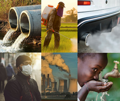 Environmental Health | Home page