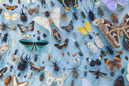 BMC Research Notes | Home page