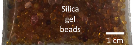 BMC Research Notes | Home page