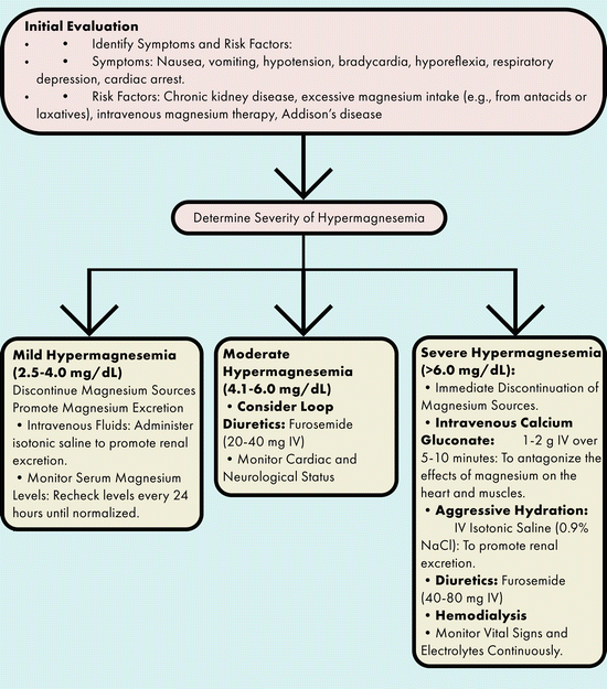 Approach to Hypermagnesemia | SpringerLink