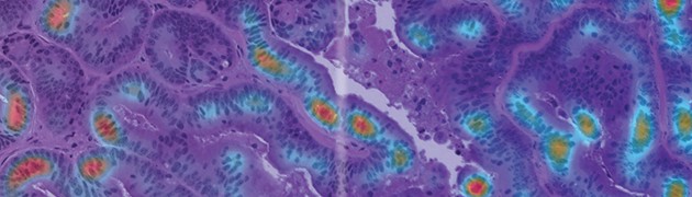 Nature Machine Intelligence