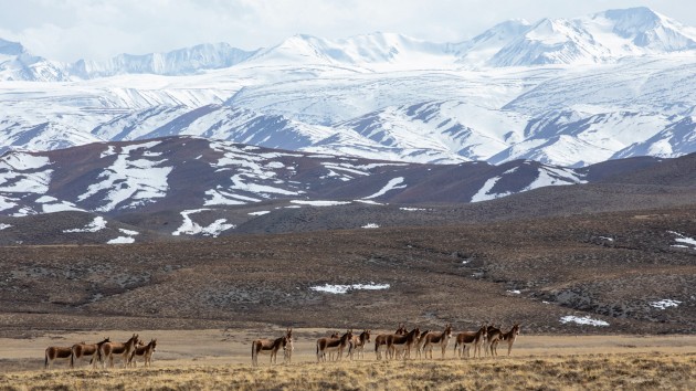 Nature Reviews Earth & Environment