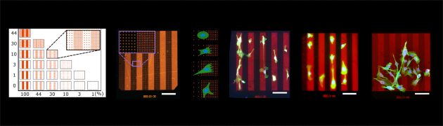 Microsystems & Nanoengineering