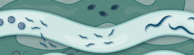 Nature Reviews Disease Primers