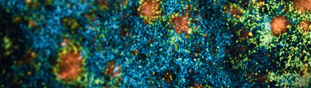 npj Biofilms and Microbiomes