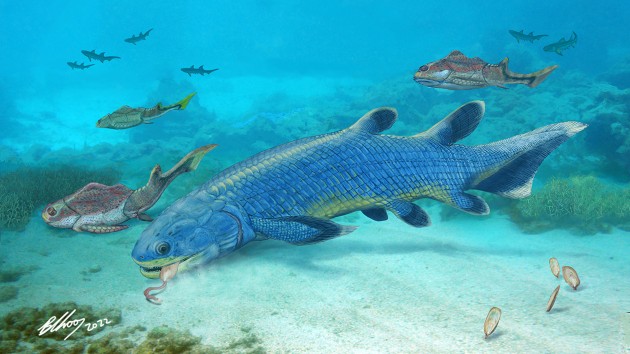 Nature Communications