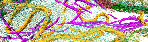 Nature Communications