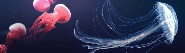 Nature Communications