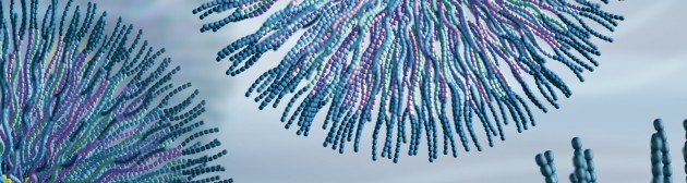 Nature Biotechnology