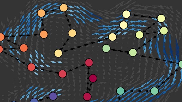 Nature Human Behaviour