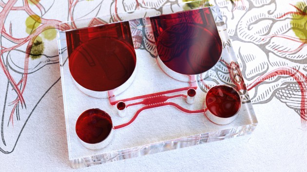 Nature Biomedical Engineering