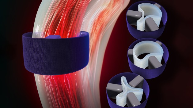 Nature Biomedical Engineering