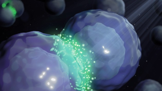 Nature Chemical Biology