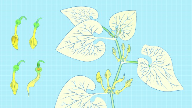 Nature Reviews Cancer