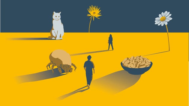 Nature Reviews Immunology