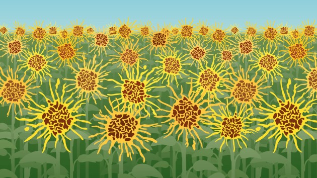 Nature Reviews Microbiology