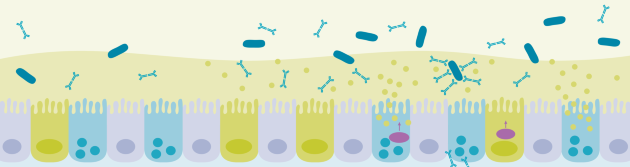 Nature Reviews Nephrology