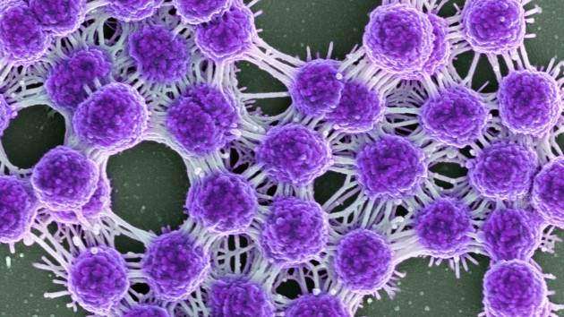 Evidence-Based Dentistry