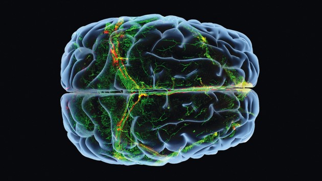 Neuropsychopharmacology