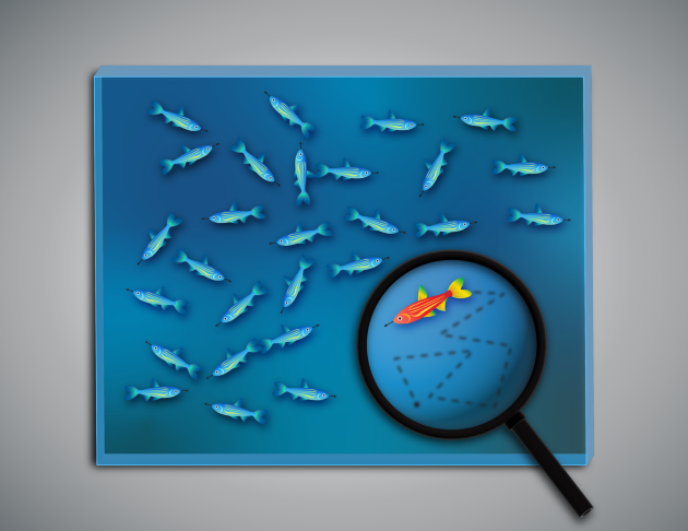 Communications Physics