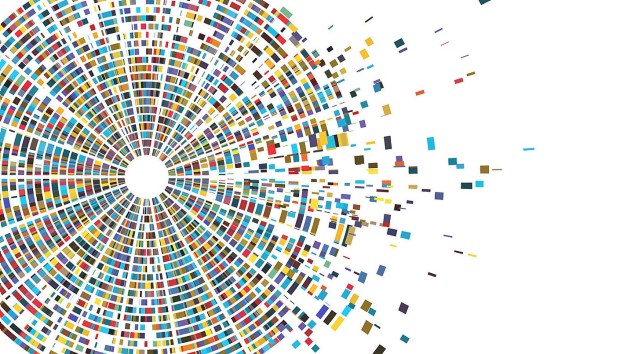 Collections | Scientific Reports