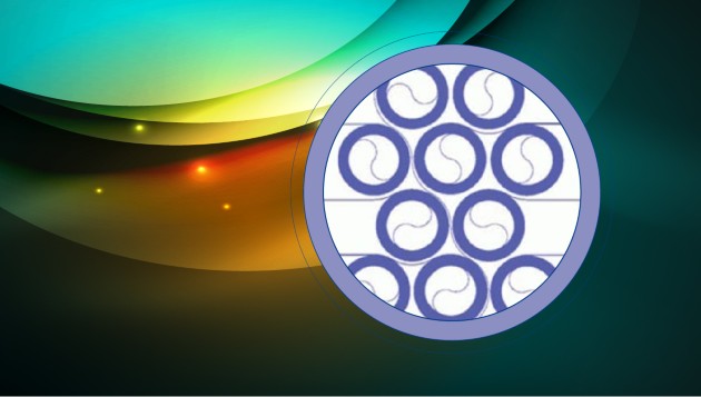 Collections | Light: Science & Applications