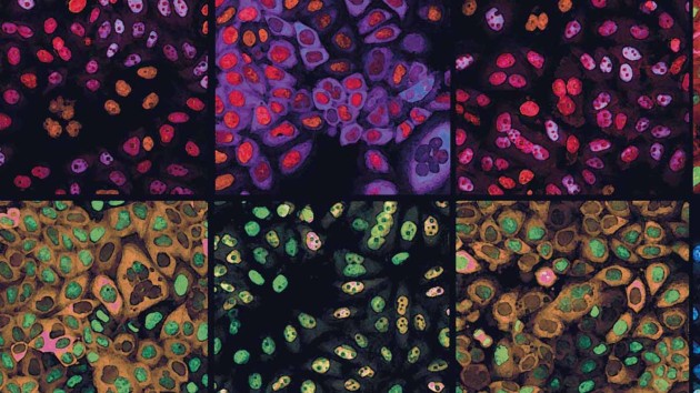 Collections | Nature Cell Biology