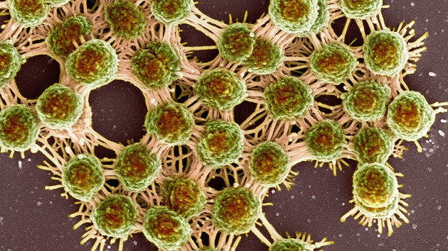 Collections | Scientific Reports