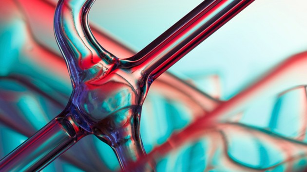 Collections | Scientific Reports