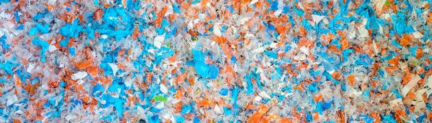 Collections | Scientific Reports