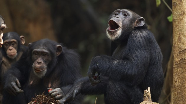 Collections | Scientific Reports