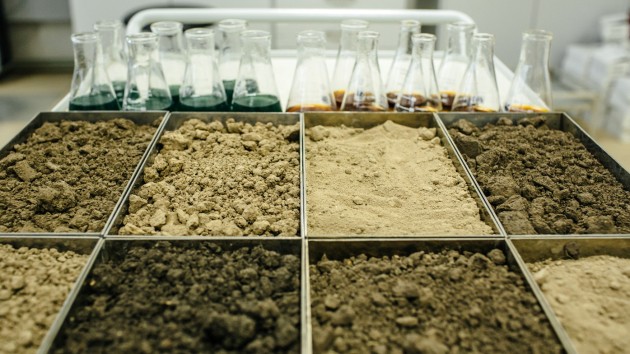 Collections | Scientific Data