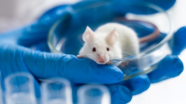 Collections | Scientific Reports