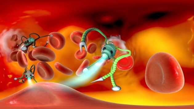 Collections | Scientific Reports