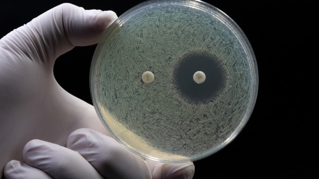 Collections | Nature Communications