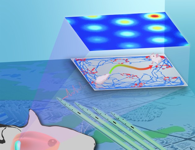 Microsystems & Nanoengineering