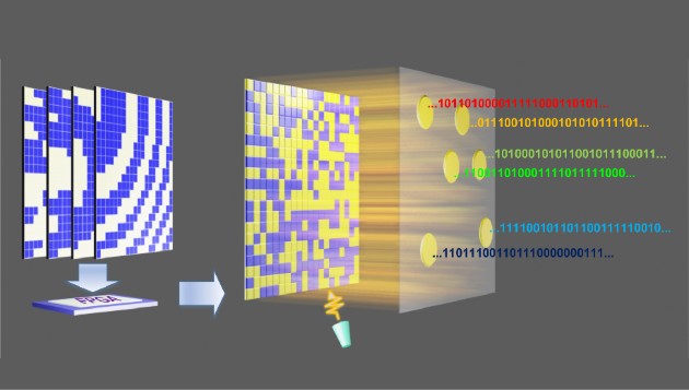 Collections | Light: Science & Applications