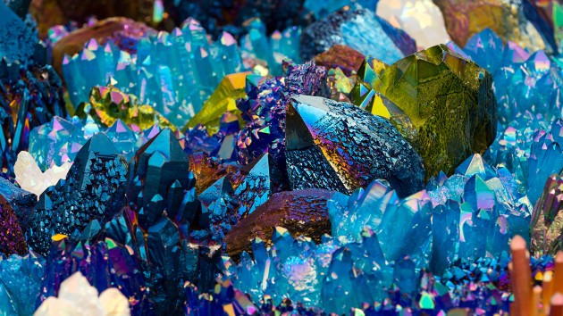 Collections | Scientific Reports