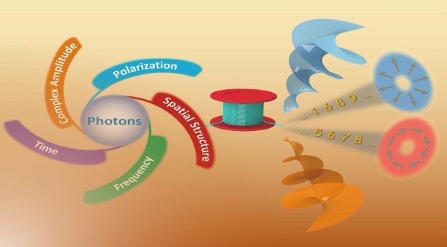 Collections | Light: Science & Applications