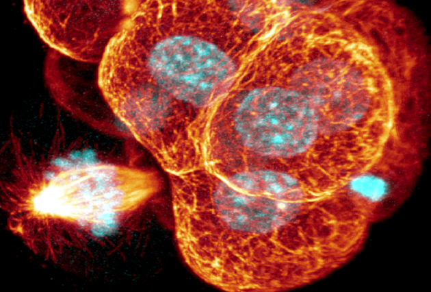 Collections | Nature Methods