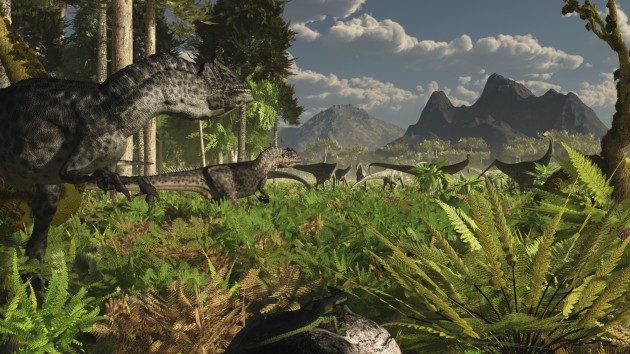 Calls for papers | npj Palaeoecosystems