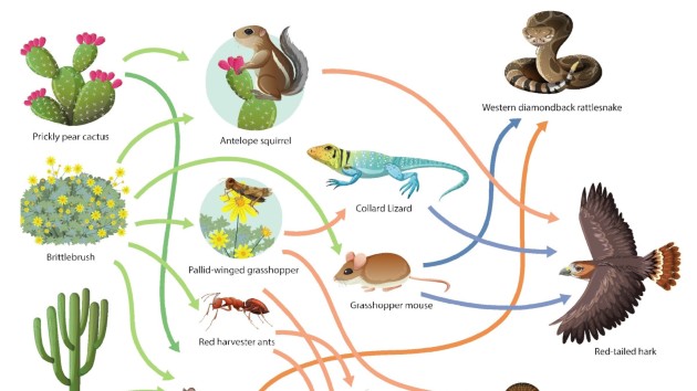 Calls for papers | Scientific Data