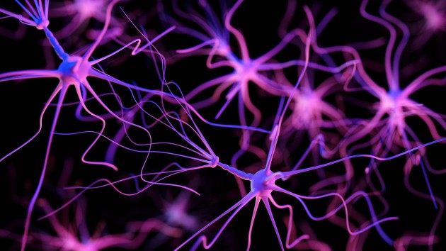 Collections | Nature