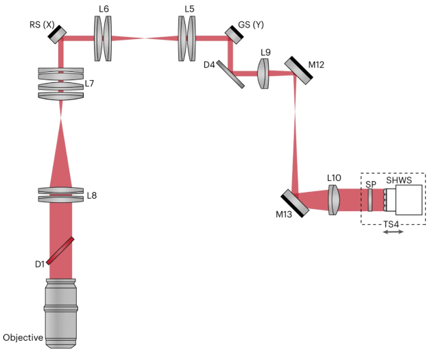 Collections | Nature Protocols